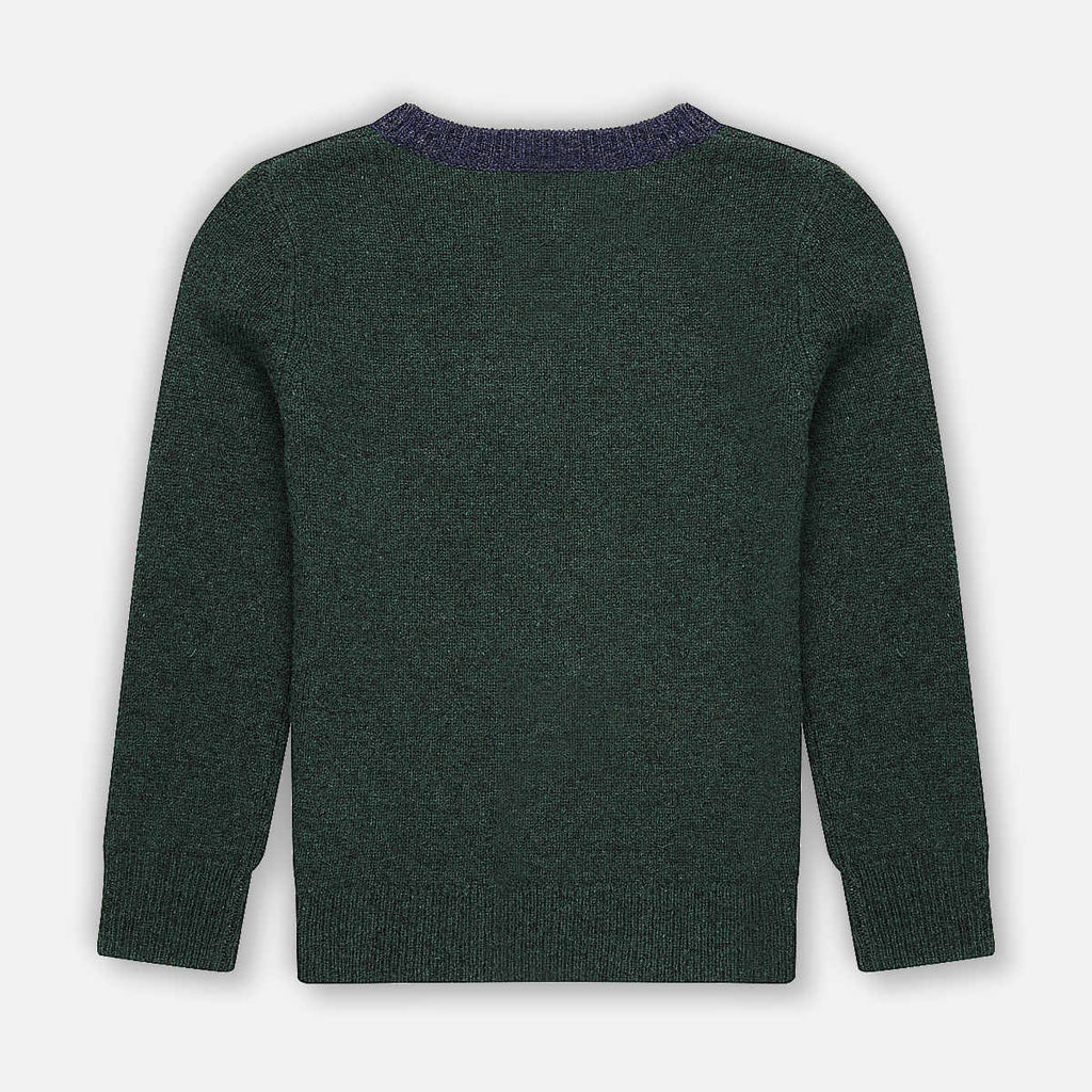 Kids Merino Wool Jumper: River Crew in Green – Atly Crew